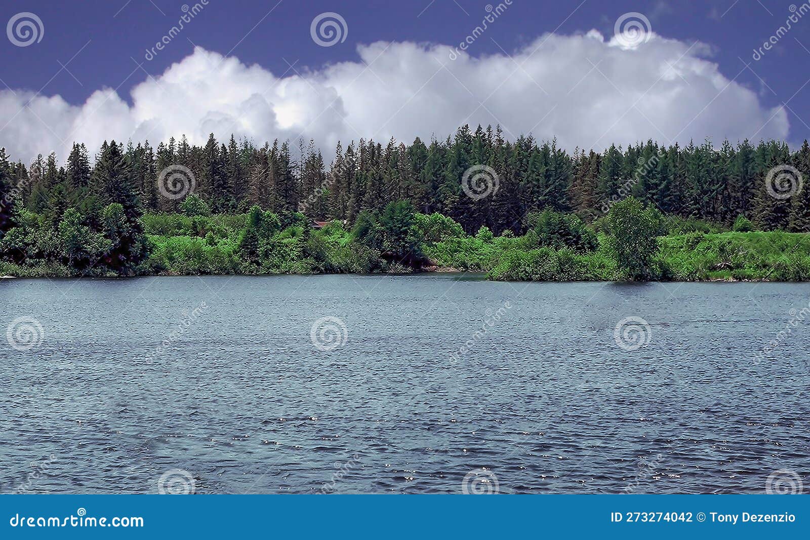 St. Croix River stock photo. Image of people, adventure - 273274042