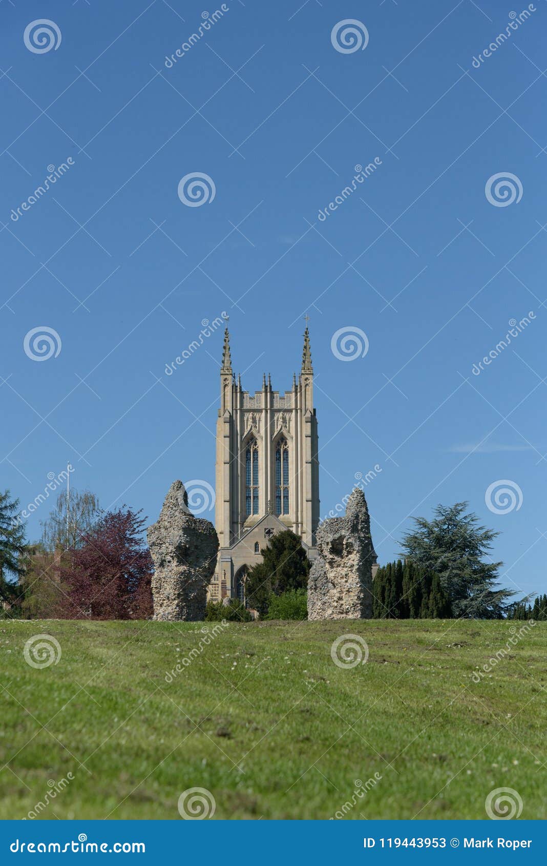 St Edmundsbury Cathedral with Grass Stock Image - Image of garden ...
