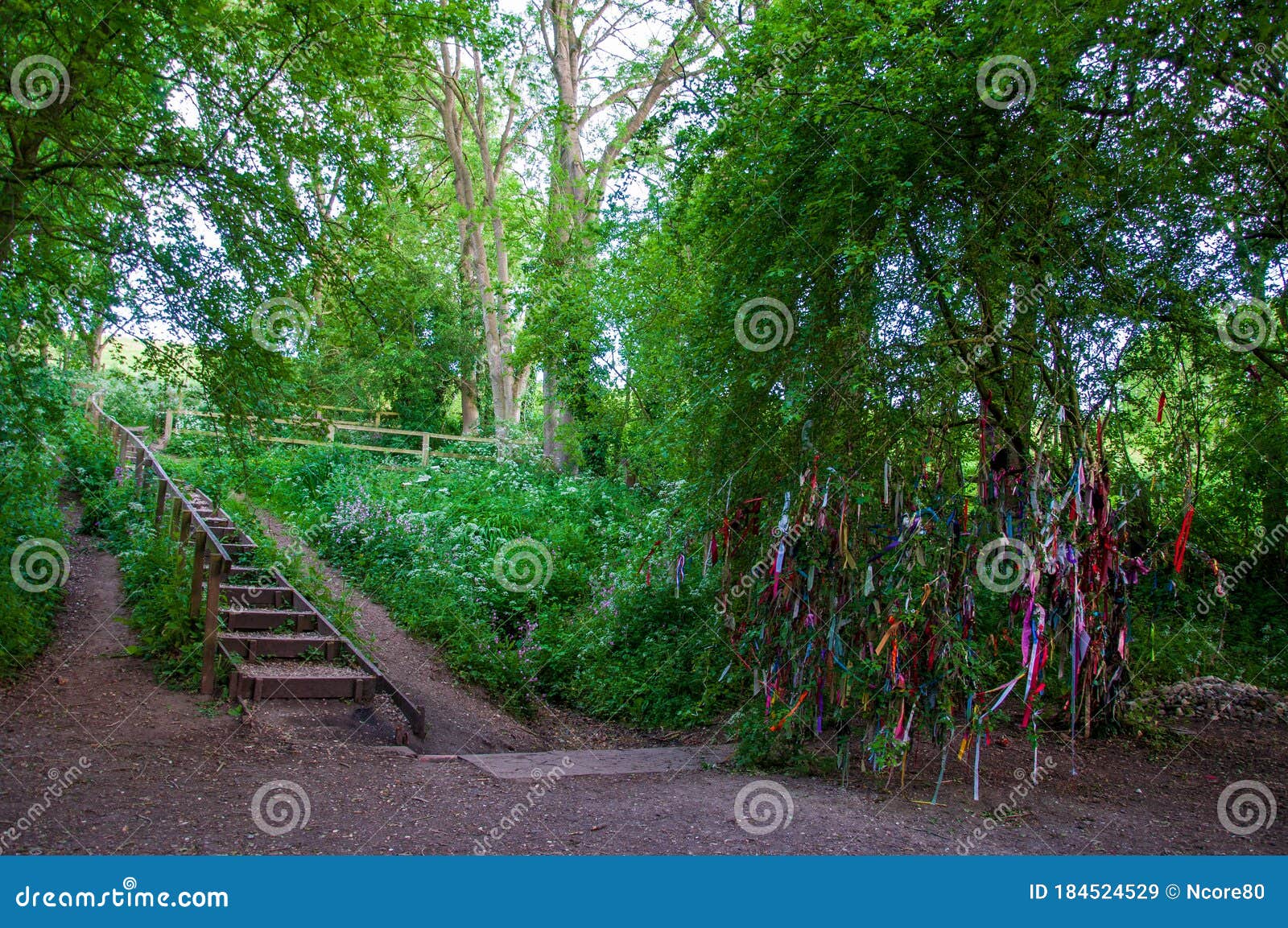 St Helens Wishing Well and Wishing Tree Stock Image - Image of green ...