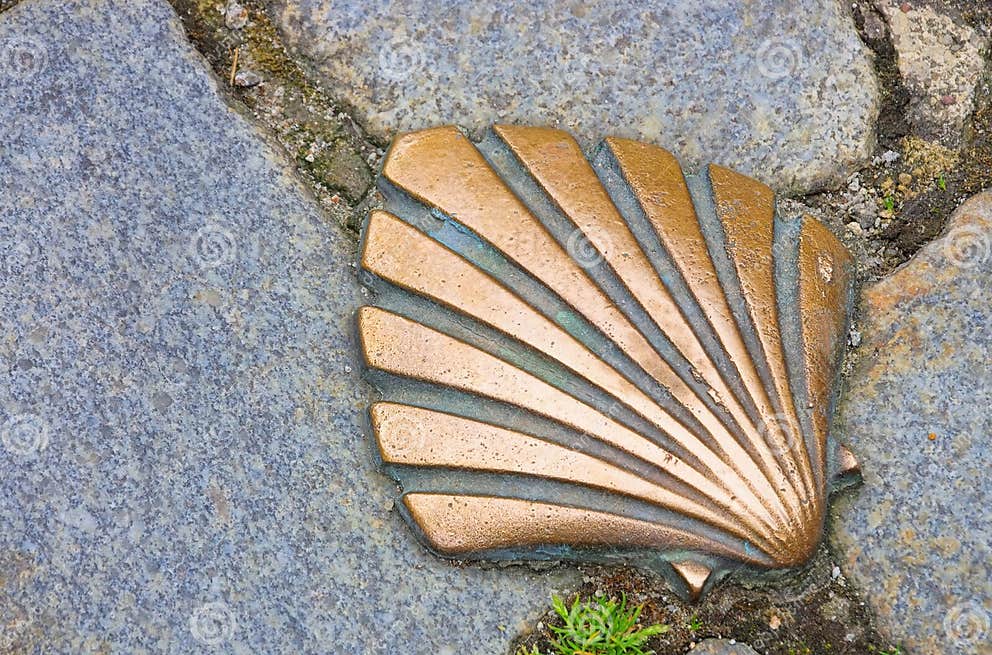 St James shell stock photo. Image of jakob, marking, compostelle - 26057304