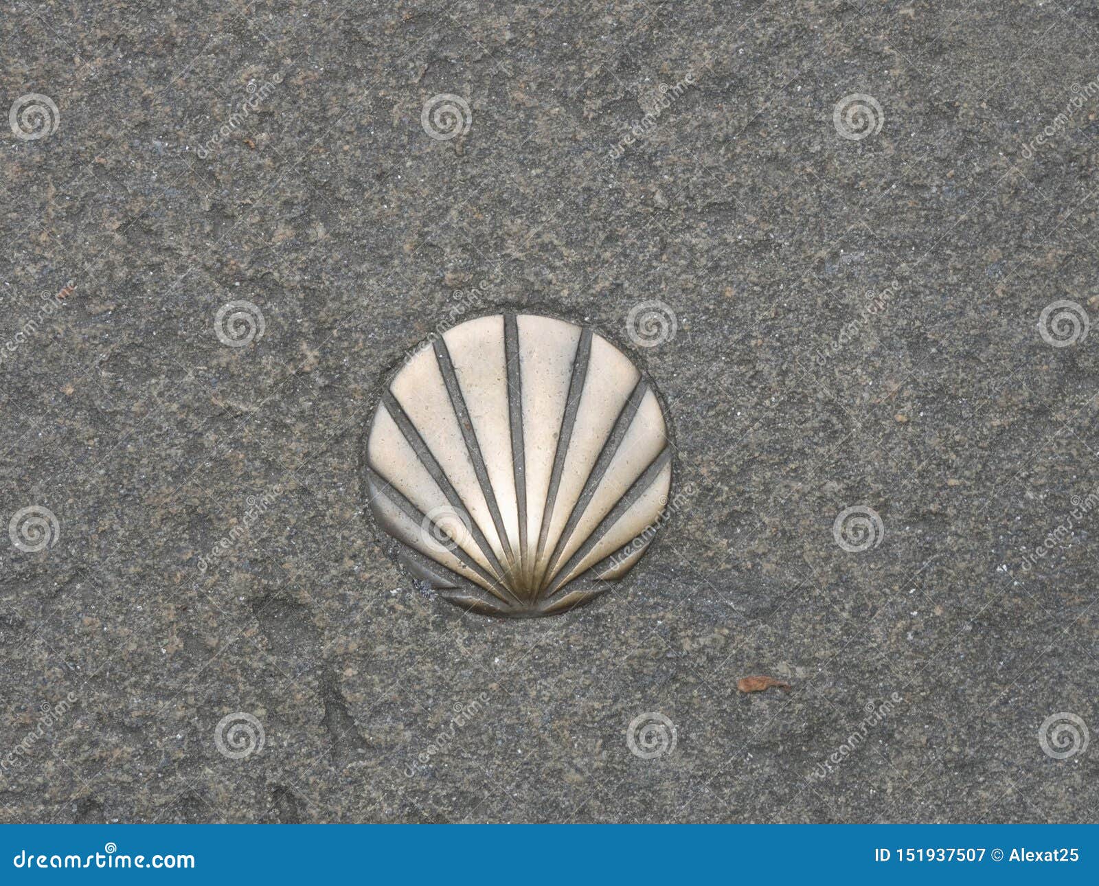 Shell Symbol From Camino De Santiago, Galicia Stock Photography ...