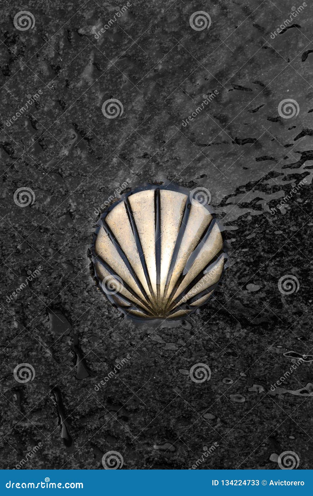 St James Way Shell Symbol Camino De Santiago Foto de archivo editorial ...