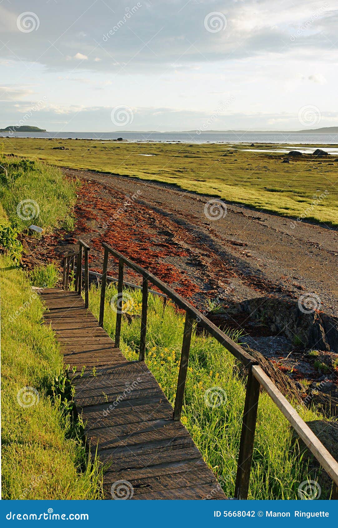 St. Lawrence River Shoreline Stock Photo - Image of landscape, bank ...