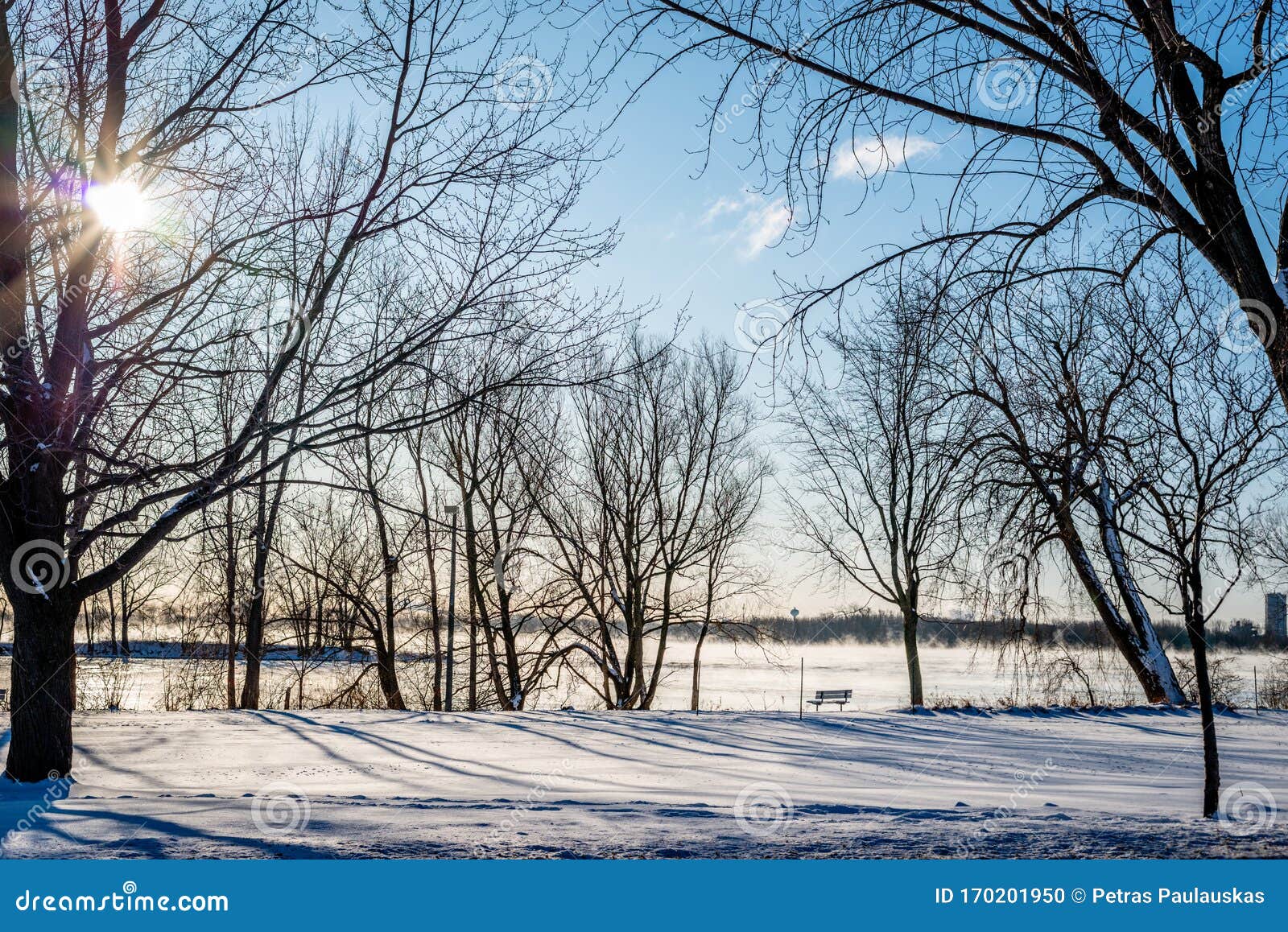 St-Lawrence River in the Winter Stock Photo - Image of blue, forest ...