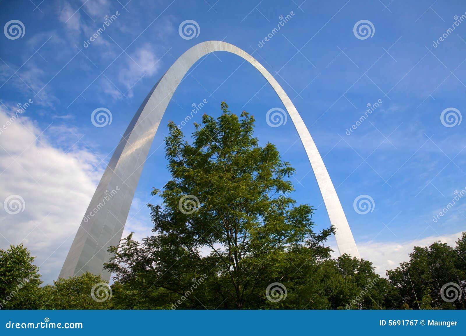 St. Louis arch and tree stock image. Image of skyline - 5691767