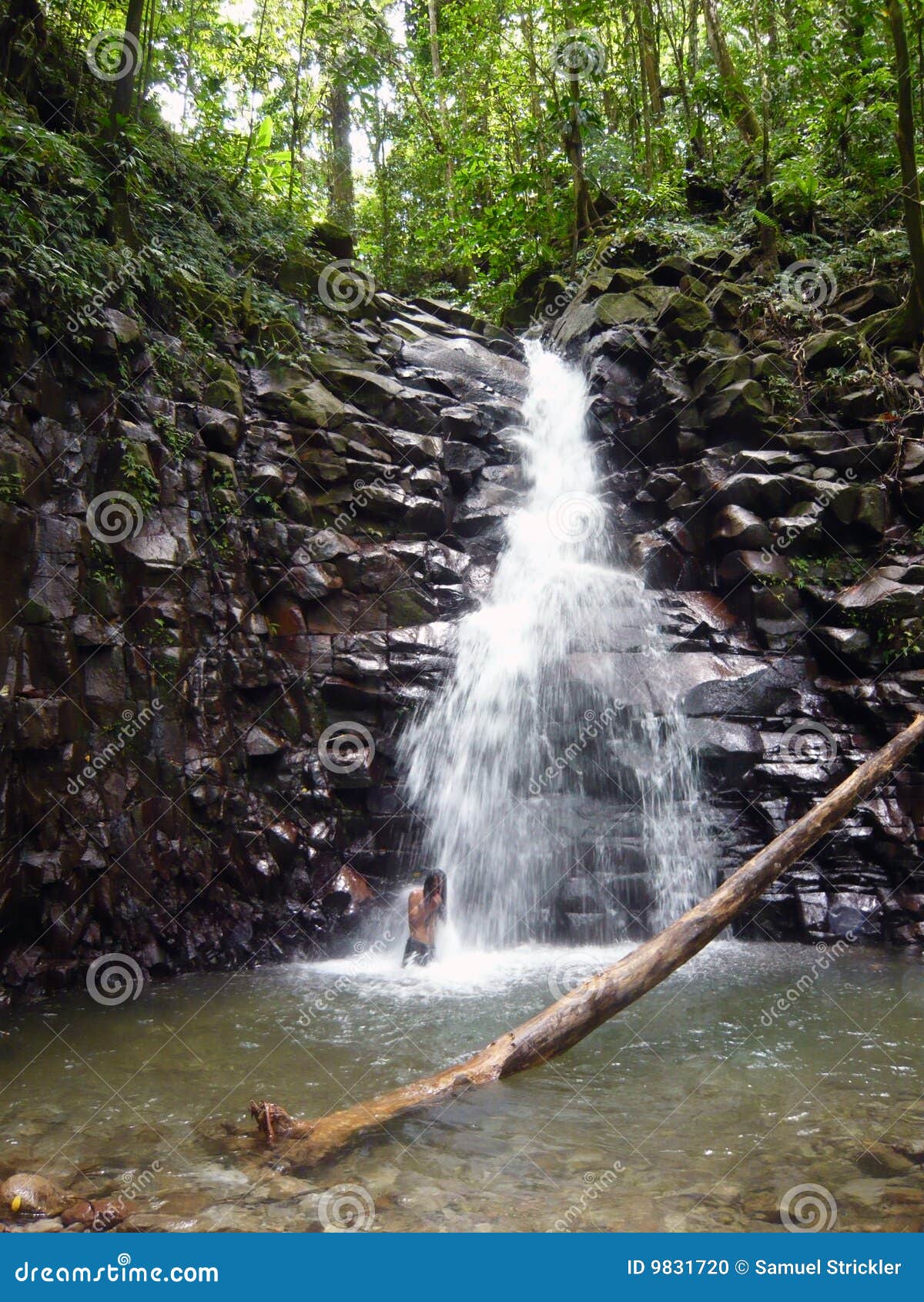 St. Lucia Waterfall stock photo. Image of waterfall, leaf - 9831720