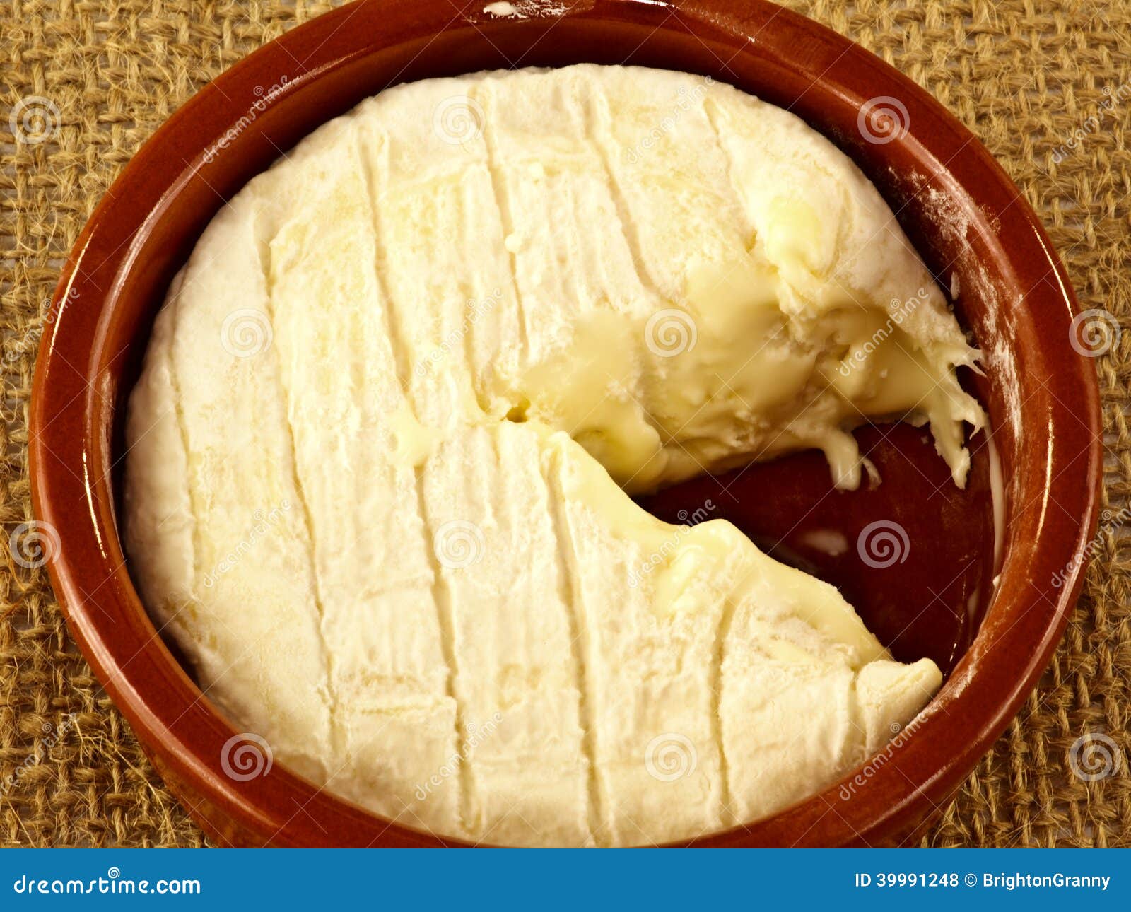 St Marcellin a French Cheese Stock Photo - Image of food, dauphinois ...