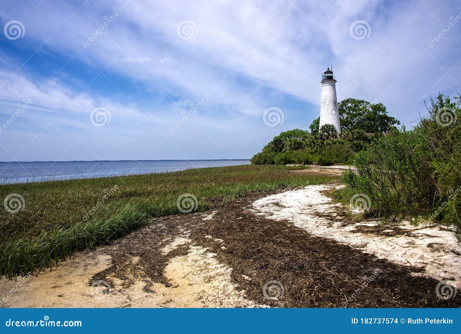 St. Marks River Preserve State Park, Florida Stock Photo - Image of ...