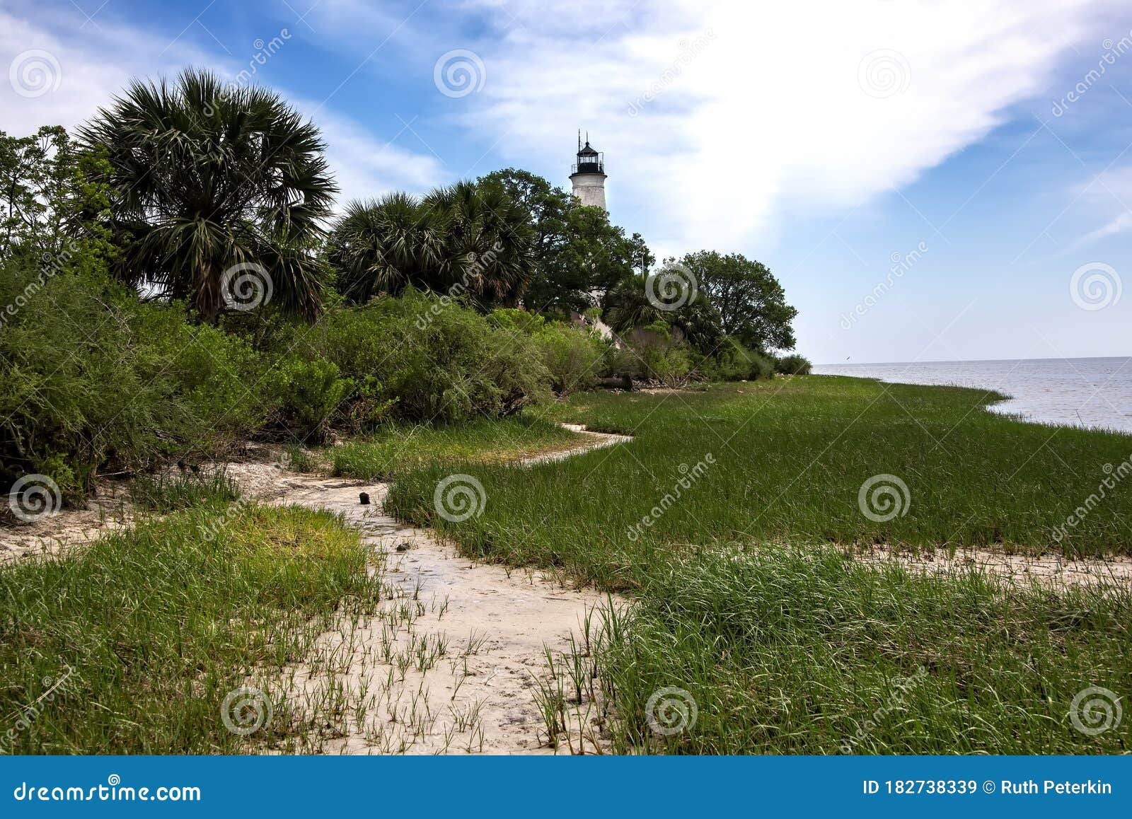 St. Marks River Preserve State Park, Florida Stock Image - Image of ...