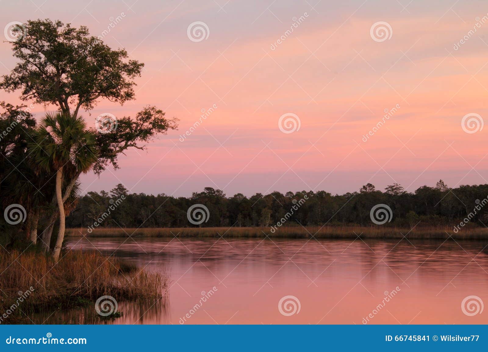 St. Marks River stock image. Image of america, marsh - 66745841