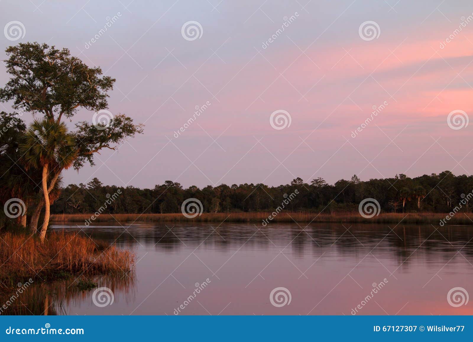 St. Marks River stock image. Image of coast, refuge, water - 67127307