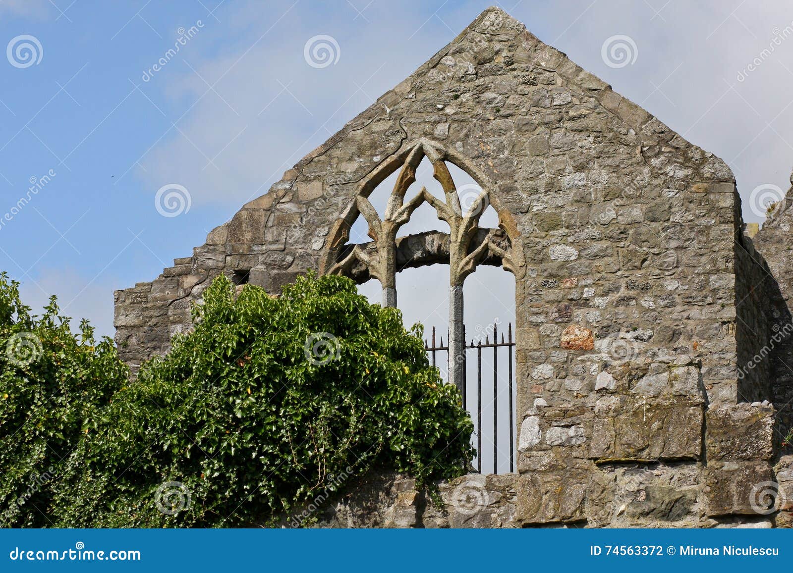 St Marys Abbey, Howth, Dublin Stock Photo - Image of vikings, howth ...