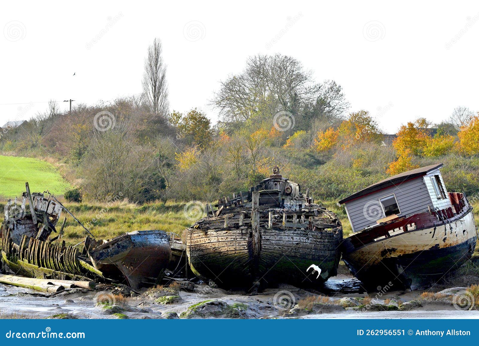 Osth Stock Photos - Free & Royalty-Free Stock Photos from Dreamstime