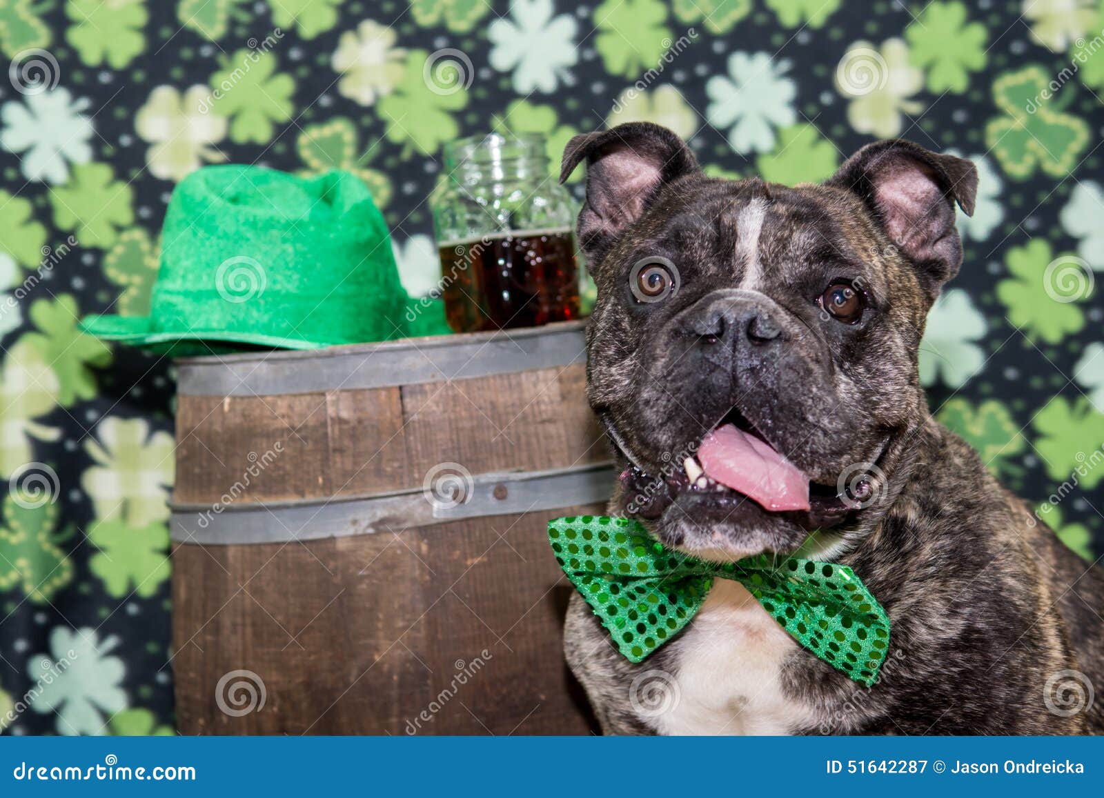 St. Patrick s Day Dog stock image. Image of cute, amusing - 51642287