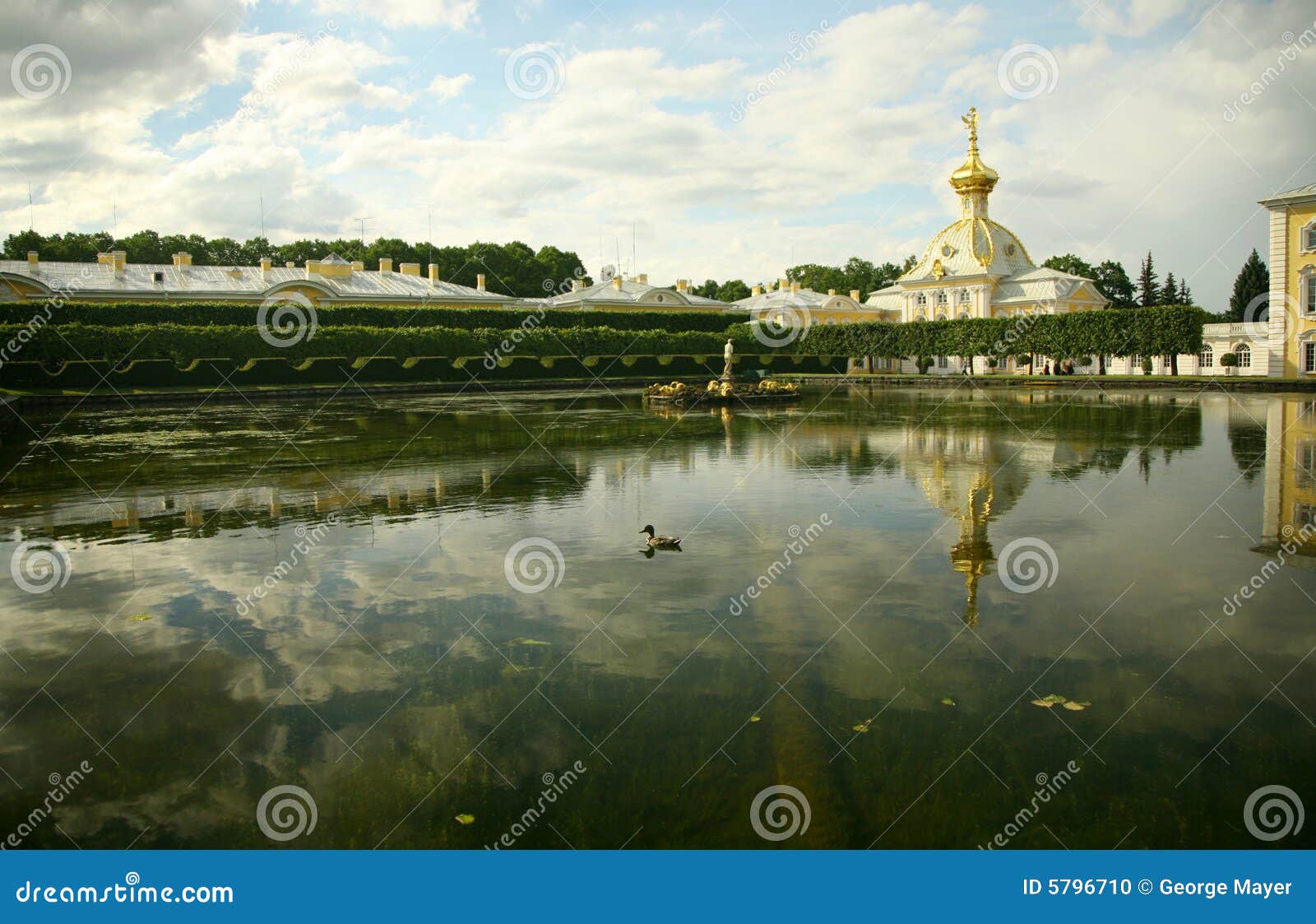 Beautiful Classical Carpet Of Machine Work. Persian Carpet Texture ...