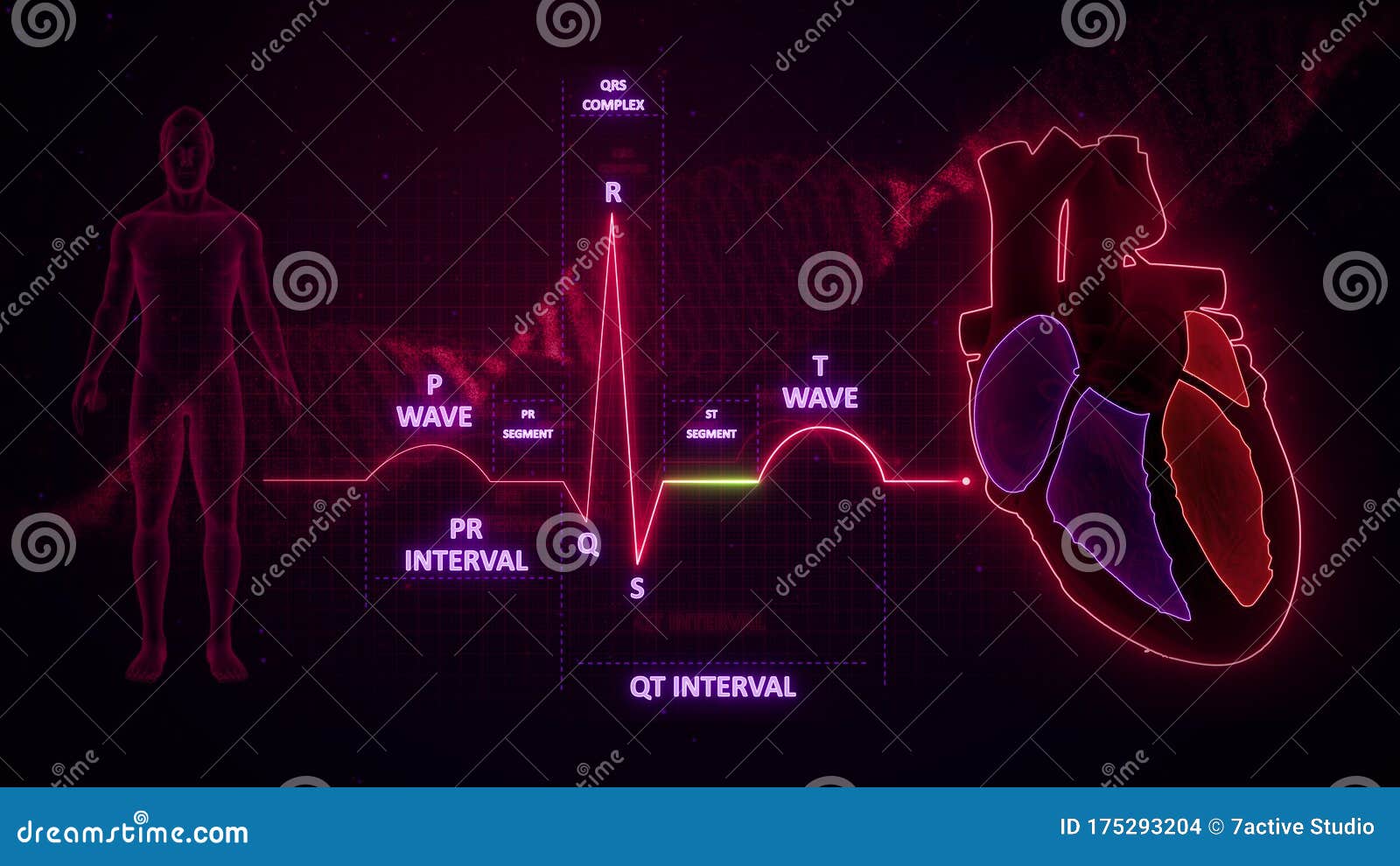ST Segment From Electrocardiogram Wave Or ECG Or EKG Stock Photo ...