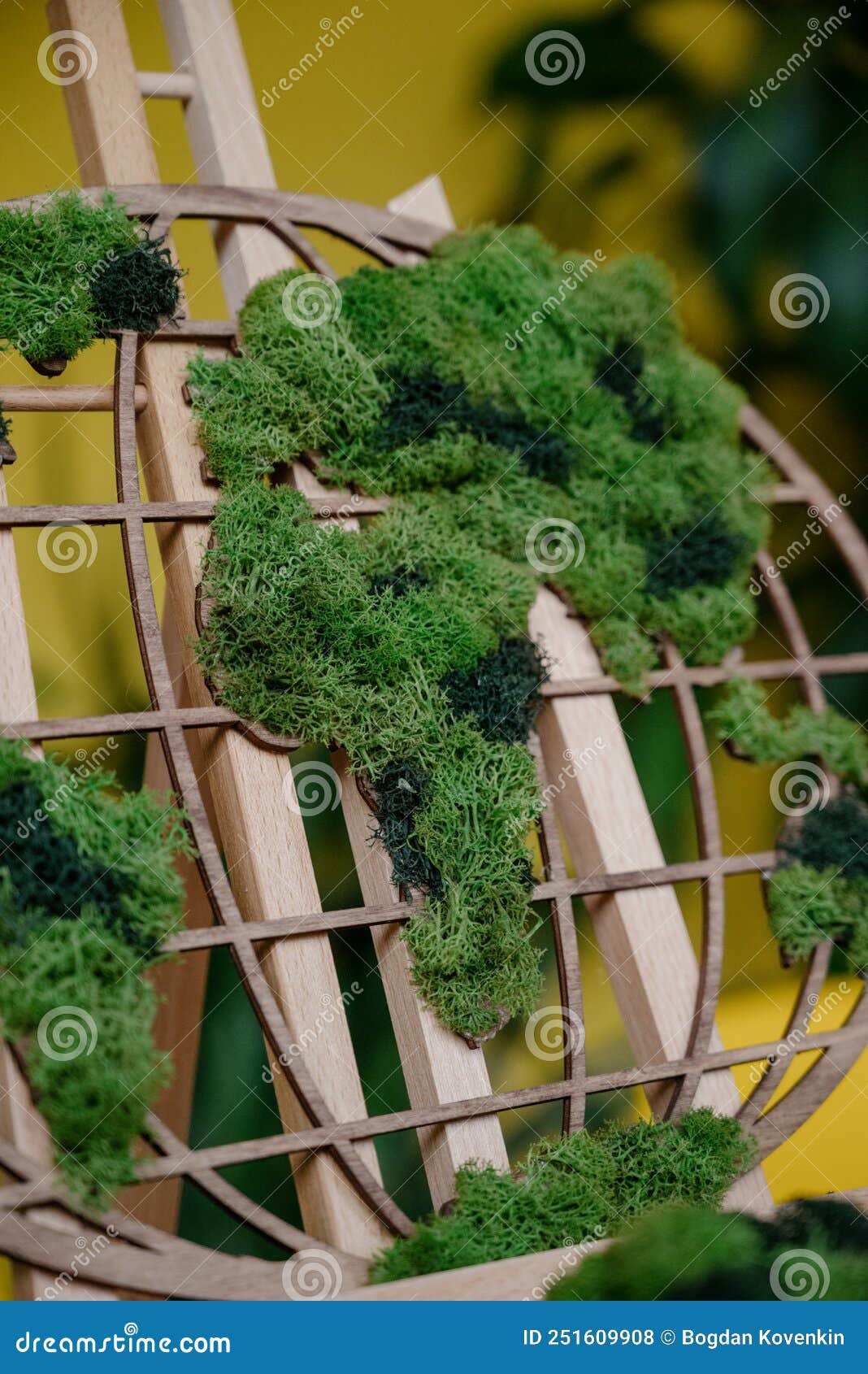 Stabilized Moss.Stabilized Moss in the Pot Stock Photo - Image of mossy ...