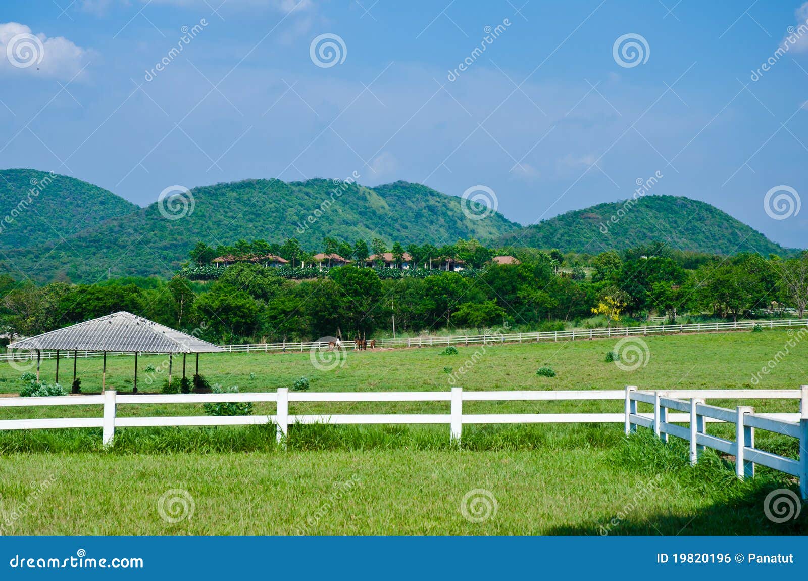 Stable stock photo. Image of nature, rural, ranch, graze - 19820196