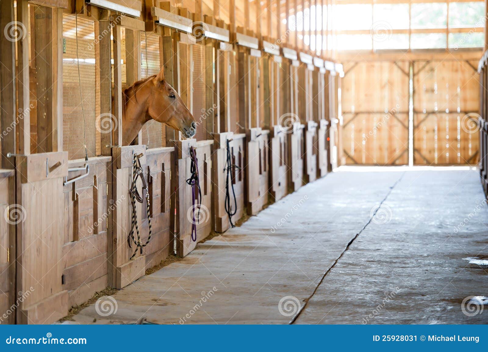 Stable stock image. Image of building, barn, timber, animal - 25928031