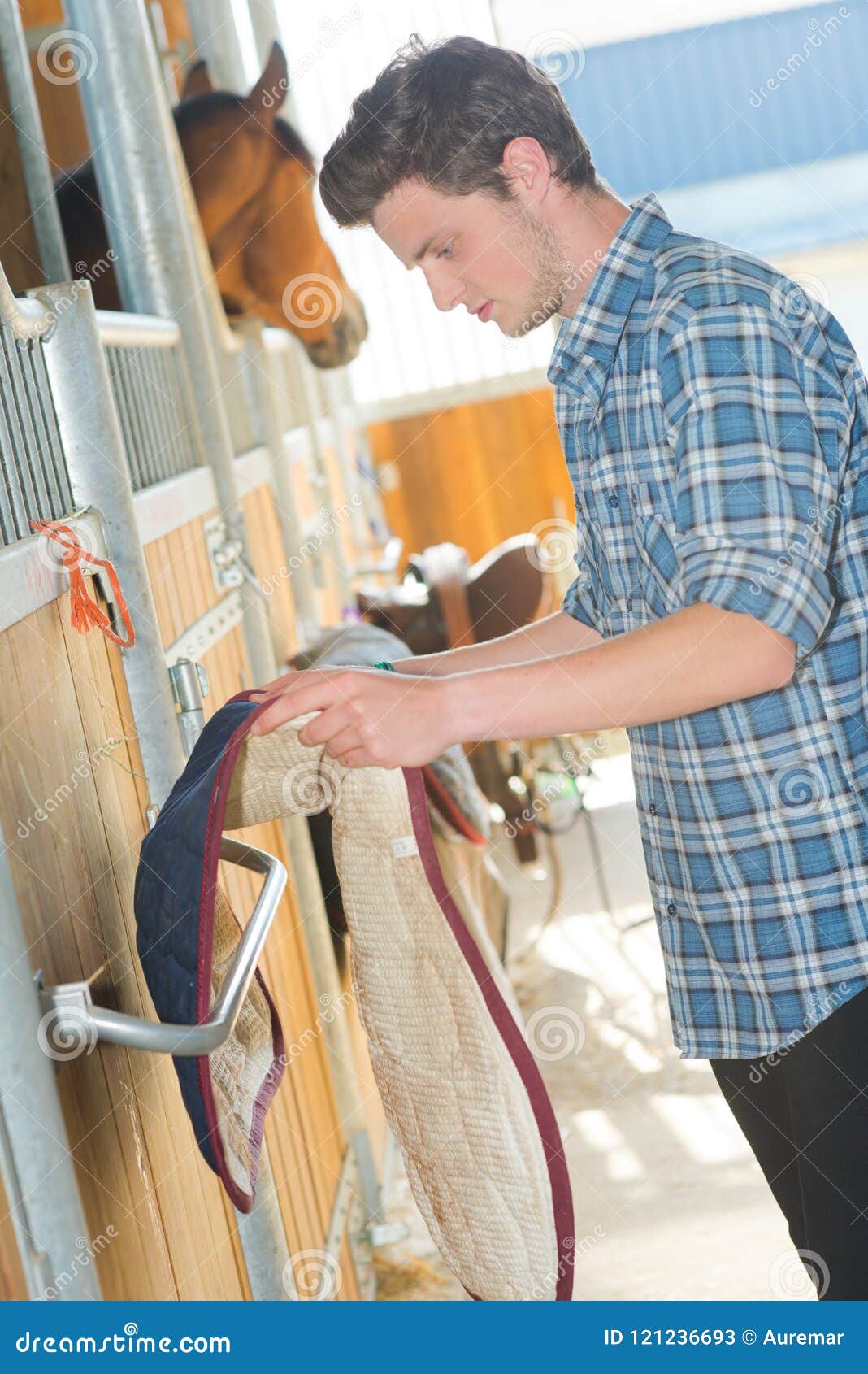 Stable boy and horse stock image. Image of horse, stable - 121236693
