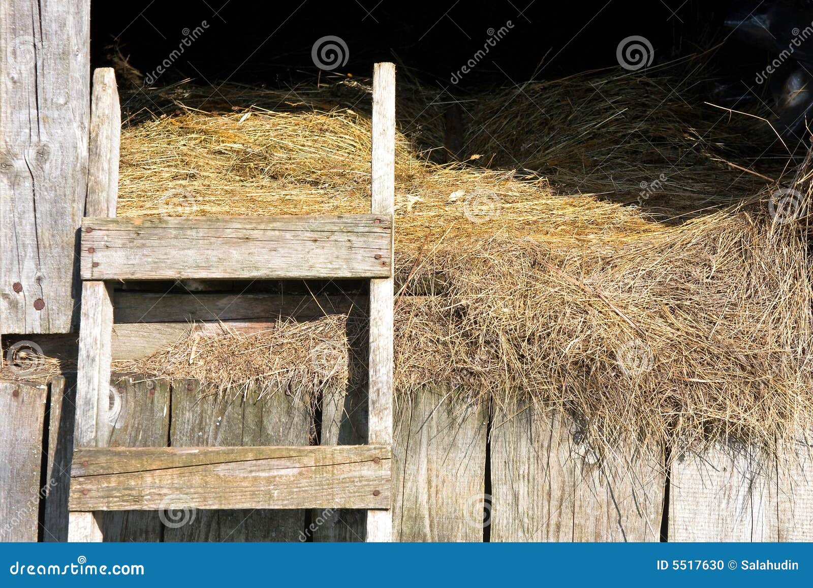 Stable hay stock photo. Image of season, cottage, seasonal - 5517630