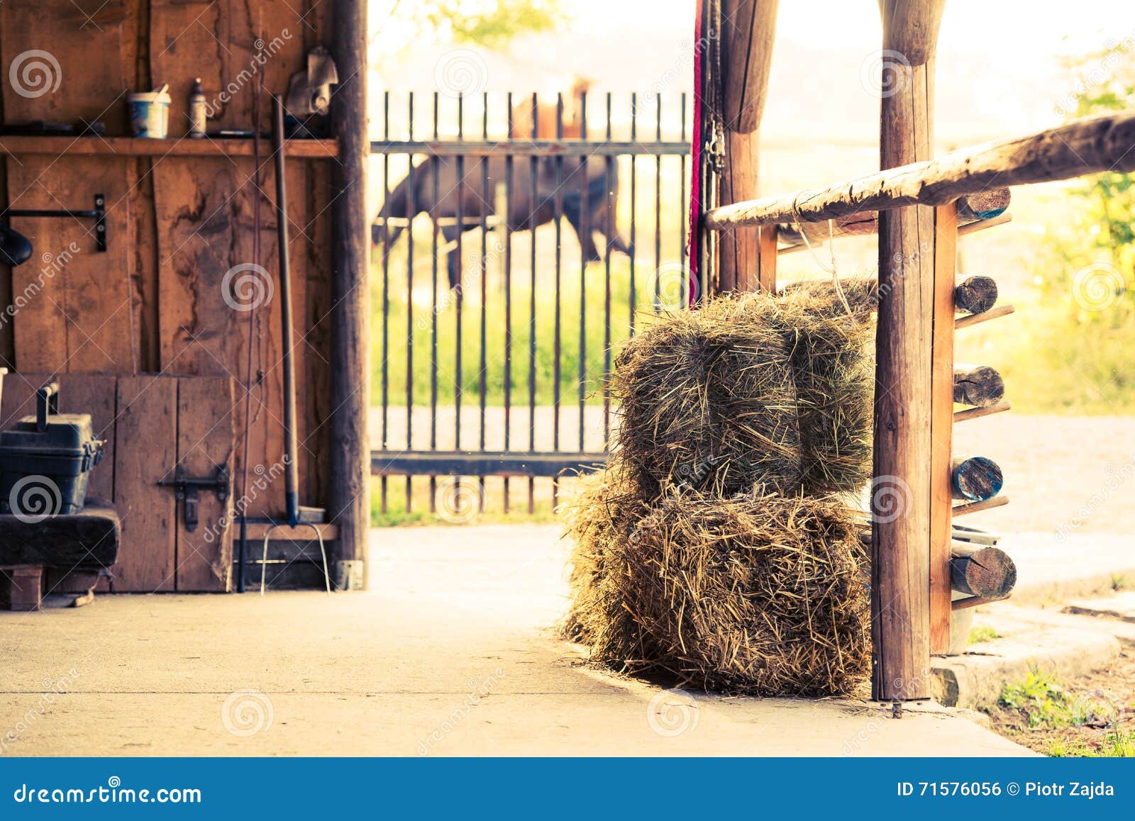 Stable Hay Cubes stock photo. Image of agriculture, horse - 71576056
