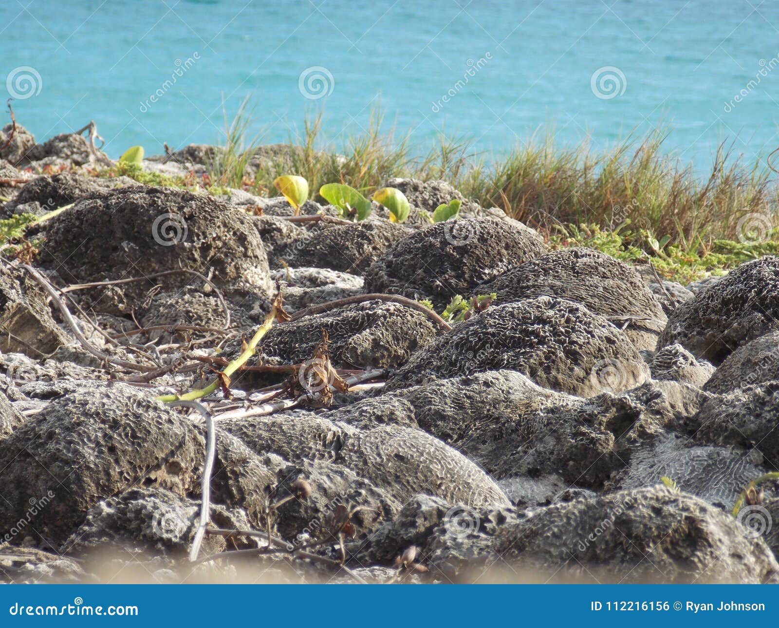 Stable rocks stock photo. Image of rocks, grass, stable - 112216156