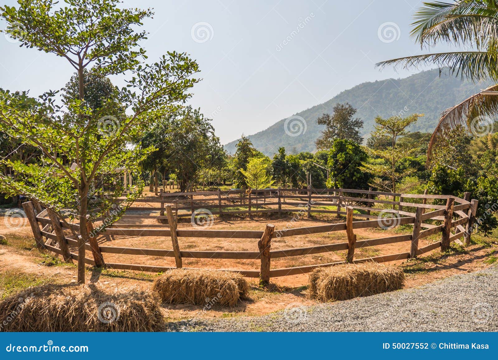 Stable stock photo. Image of rural, stable, countryside - 50027552