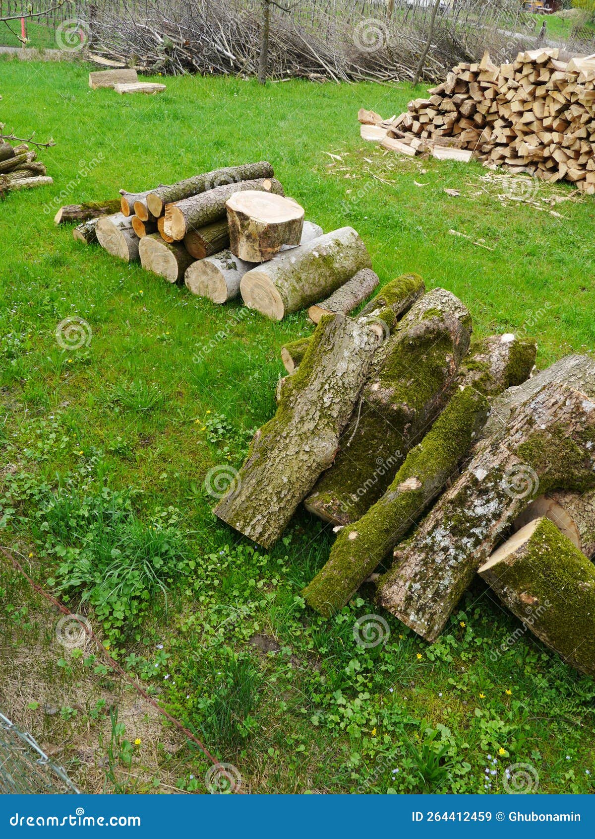 Stabled Logs Nature Trunk Wood Stock Image - Image of lumber, firewood ...