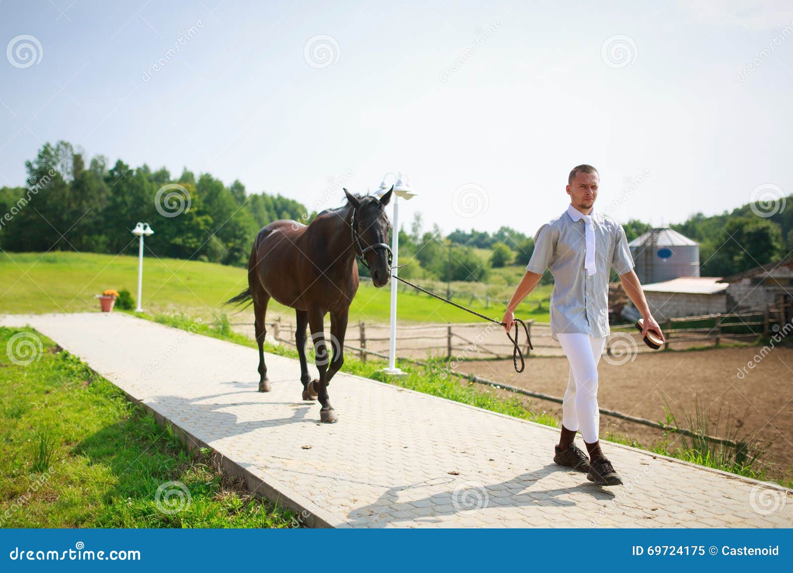 Stableman with horse stock image. Image of horse, equestrian - 69724175