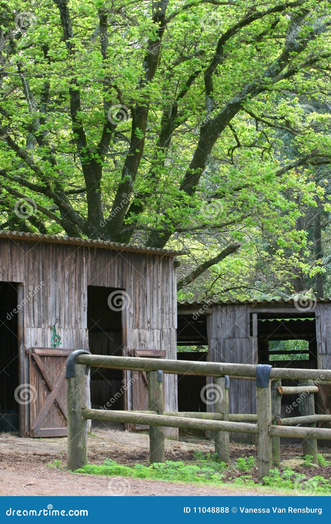 Stables stock photo. Image of wooden, fencing, buildings - 11048888