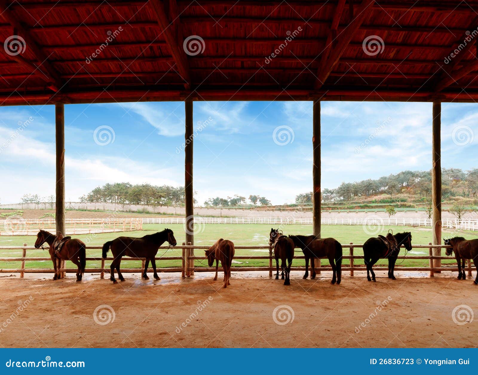 Stables and horses stock image. Image of horseback, landscape - 26836723