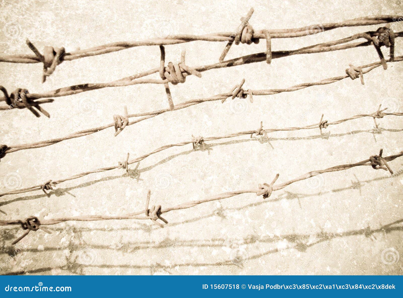Stacheldraht stockfoto. Bild von stachelig, kaserne, konzentration ...