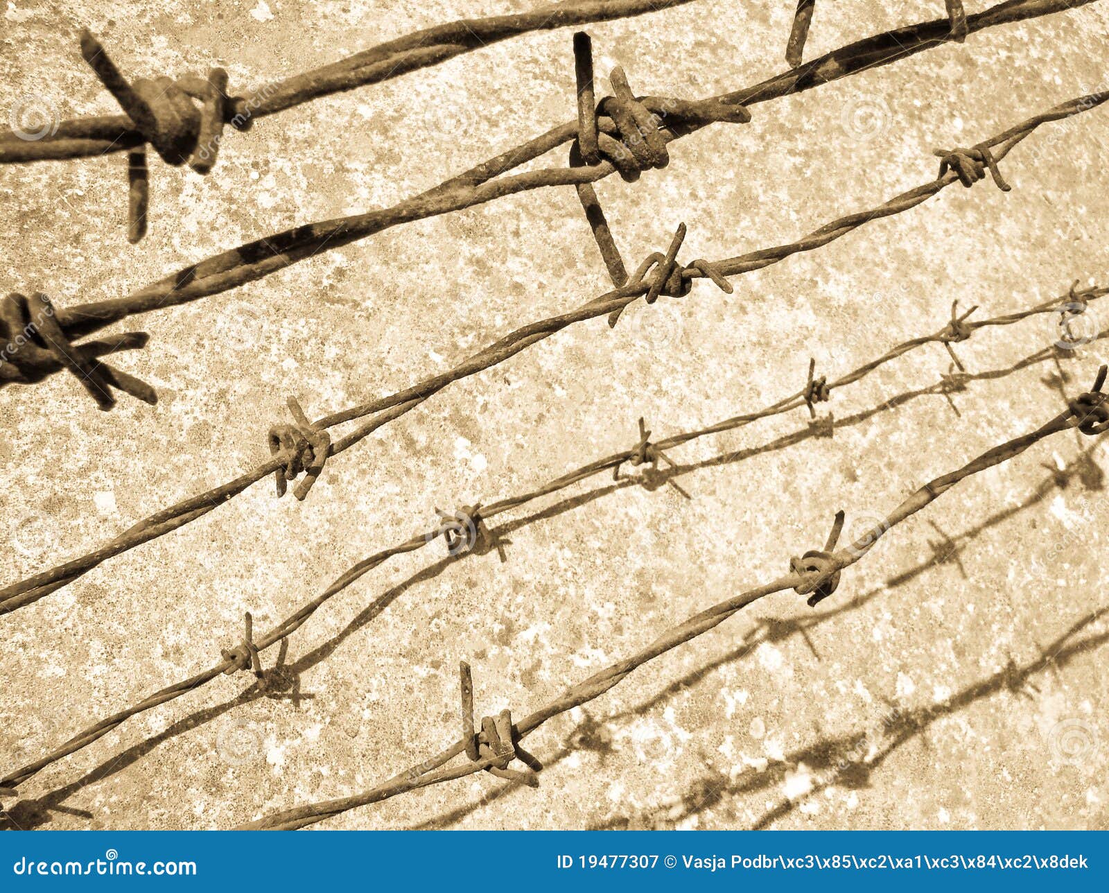 Stacheldraht redaktionelles stockfotografie. Bild von nahaufnahme ...