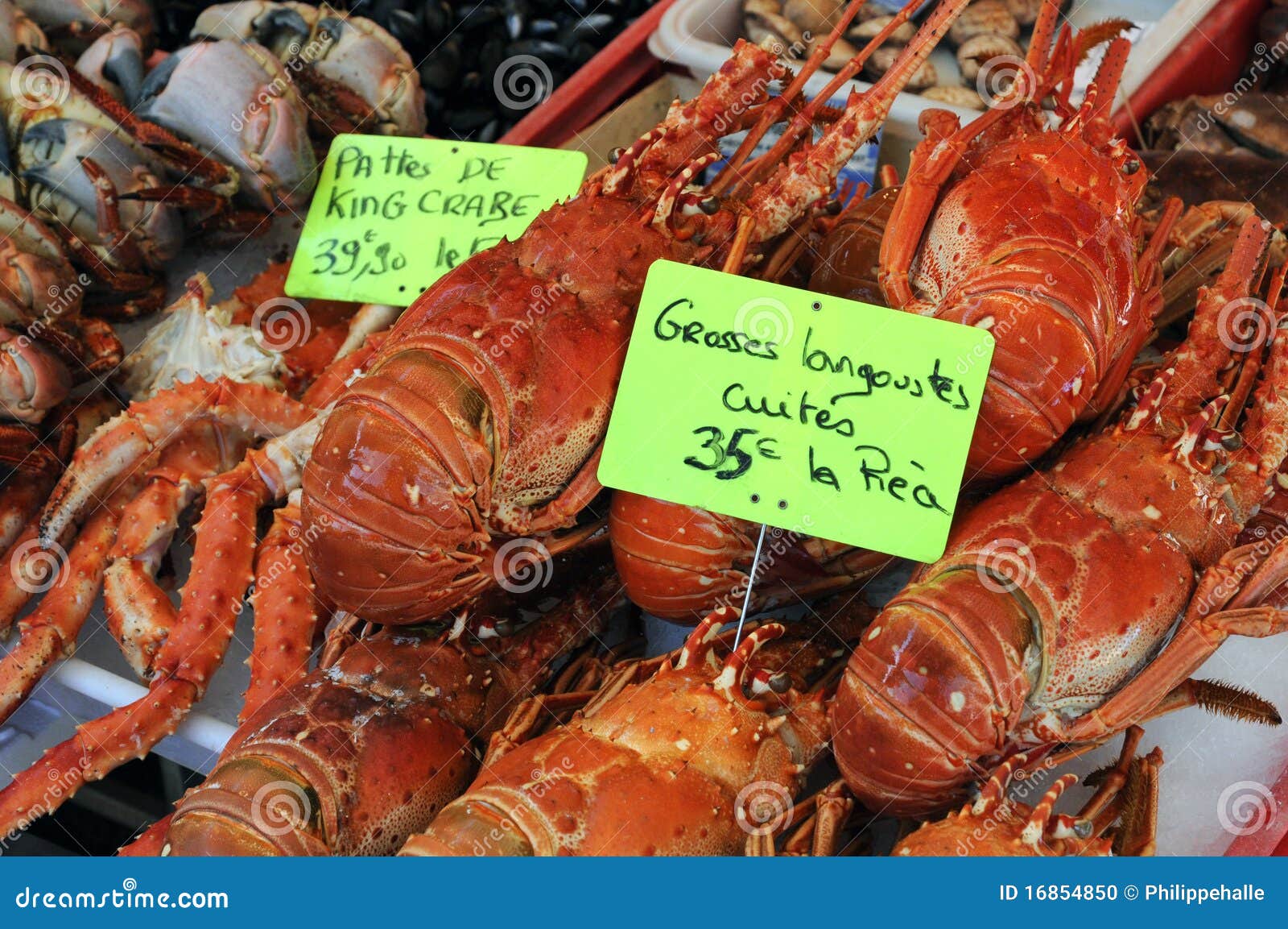 Stachelige Hummer stockfoto. Bild von kulinarisch, fische - 16854850