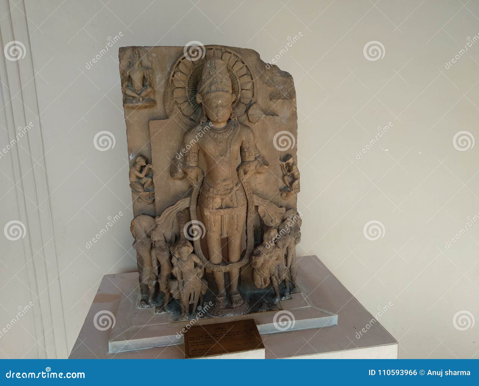 Stachu stock photo. Image of stone, stachu, bharatpur - 110593966