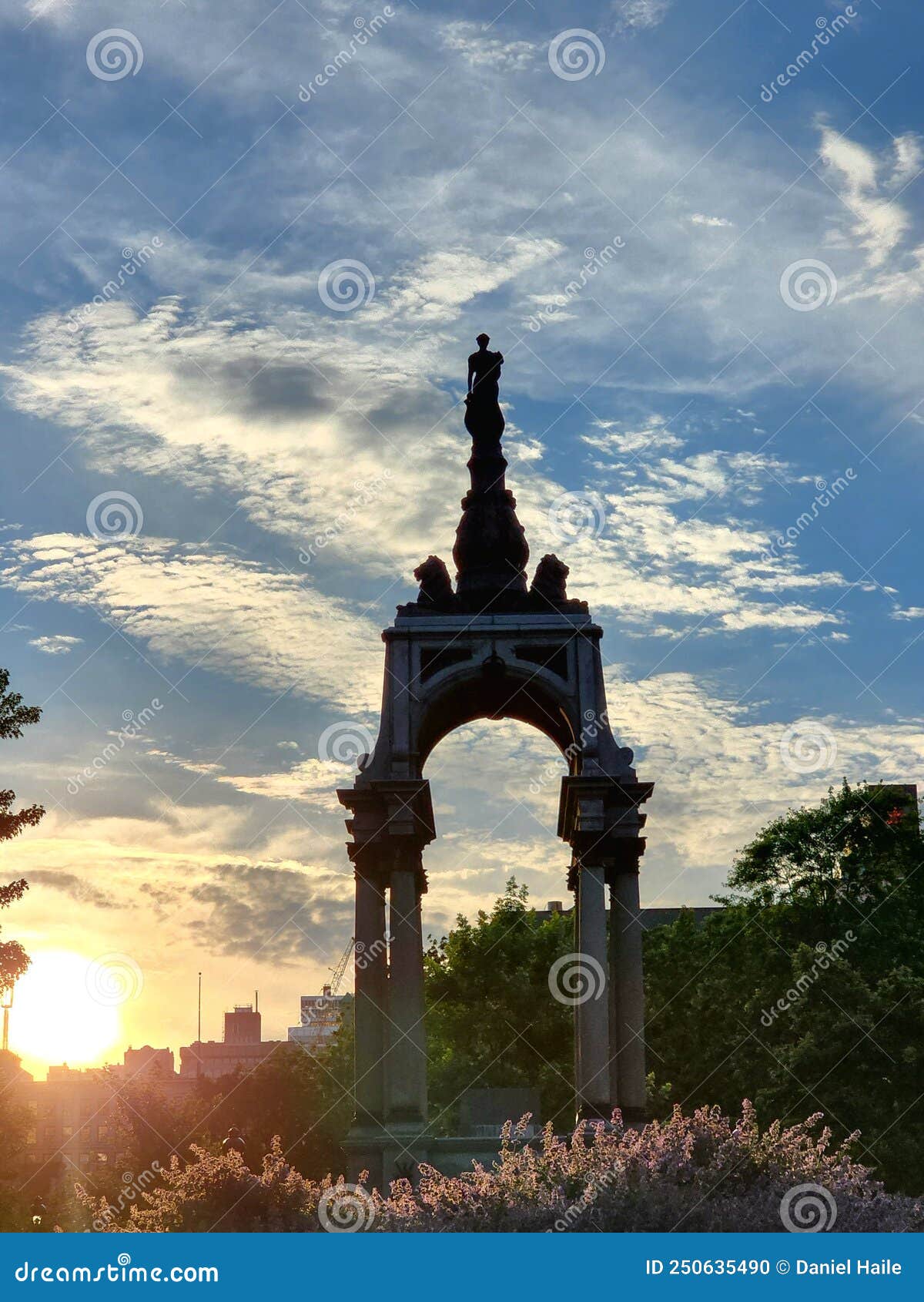 Stachu in the sunset stock photo. Image of timing, flowless - 250635490