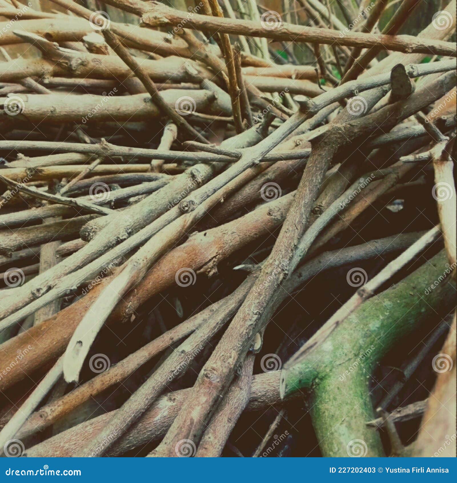 Stack of Aesthetic Wooden Branches Stock Image - Image of yellow ...
