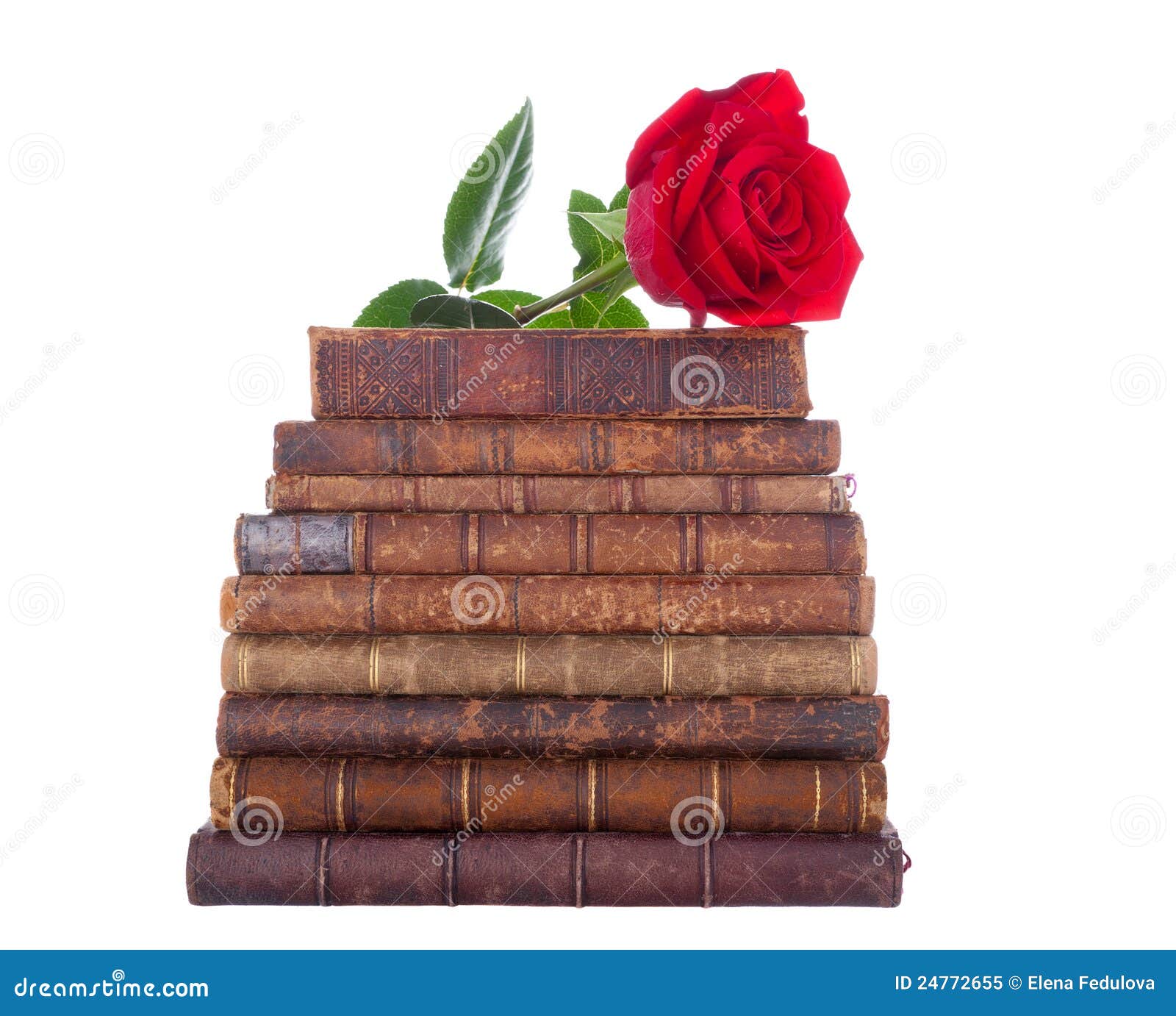 Stack of Antique Books and Red Rose Stock Image - Image of hard, book ...