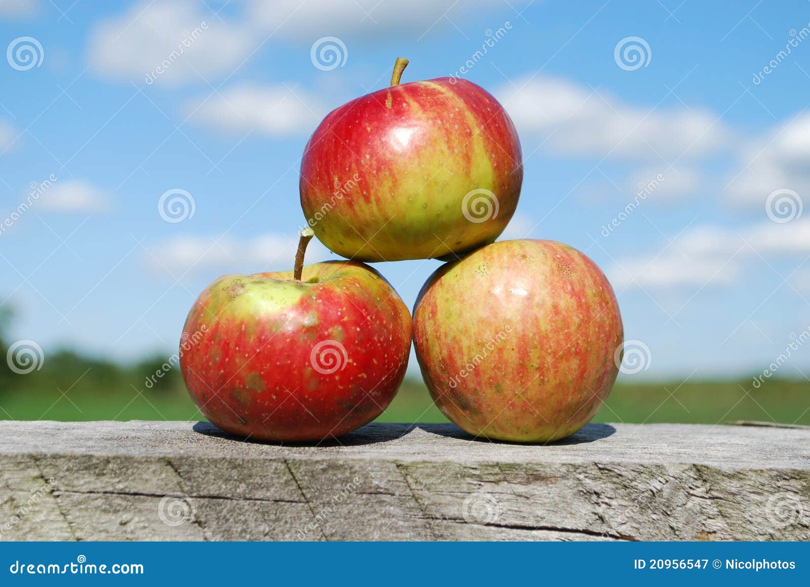 Stack of apples stock image. Image of organic, apple - 20956547