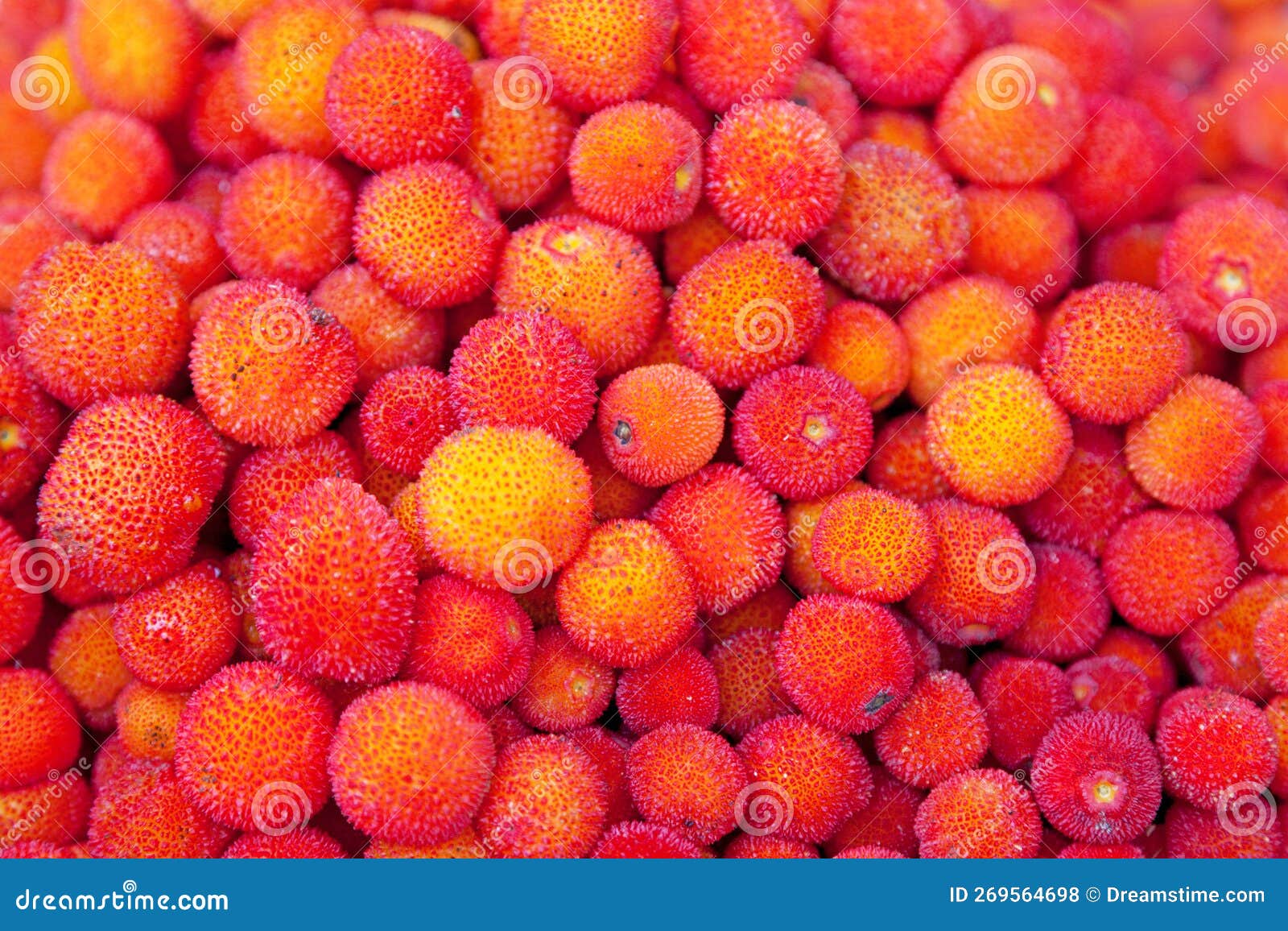 Stack of Arbutus Berries on a Market Stall Stock Photo - Image of ...