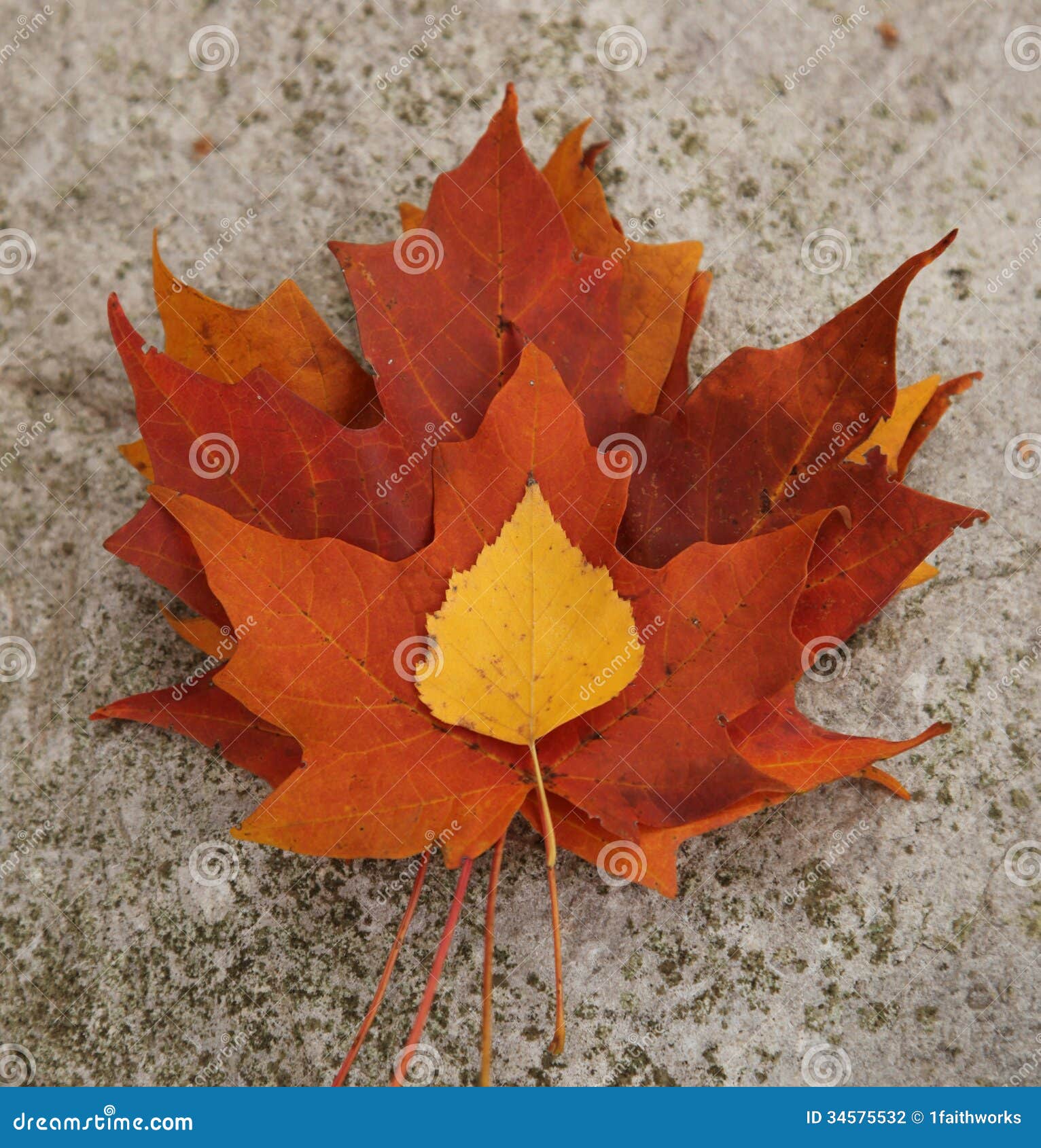 Stack of Autumn Leaves stock photo. Image of seasonal - 34575532