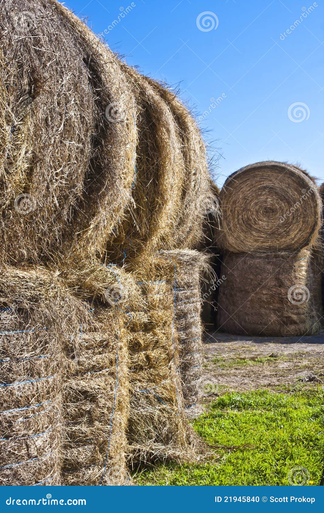 Stack of Bales stock photo. Image of straw, food, feed - 21945840