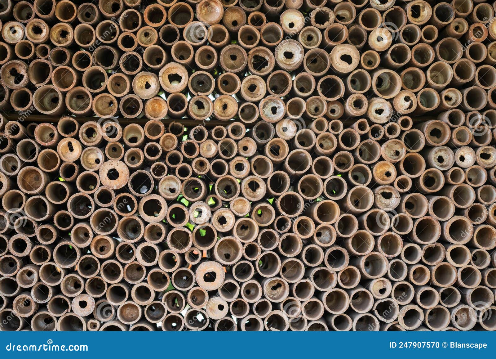Stack of Bamboo Cylinder Tree Decoration As Wall Stock Photo - Image of ...