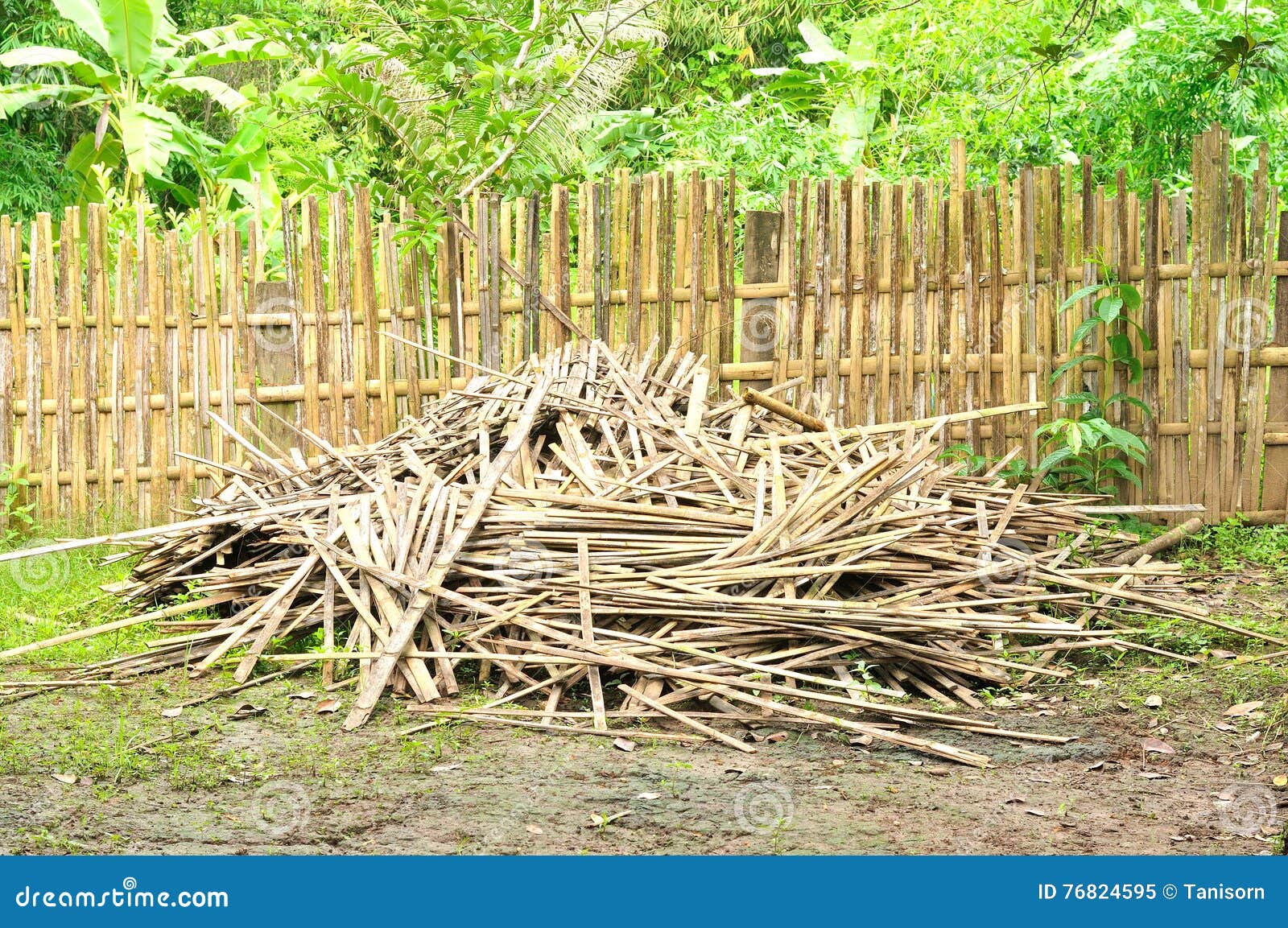 Stack of Bamboo Stick for Bamboo Fence Stock Image - Image of japan ...