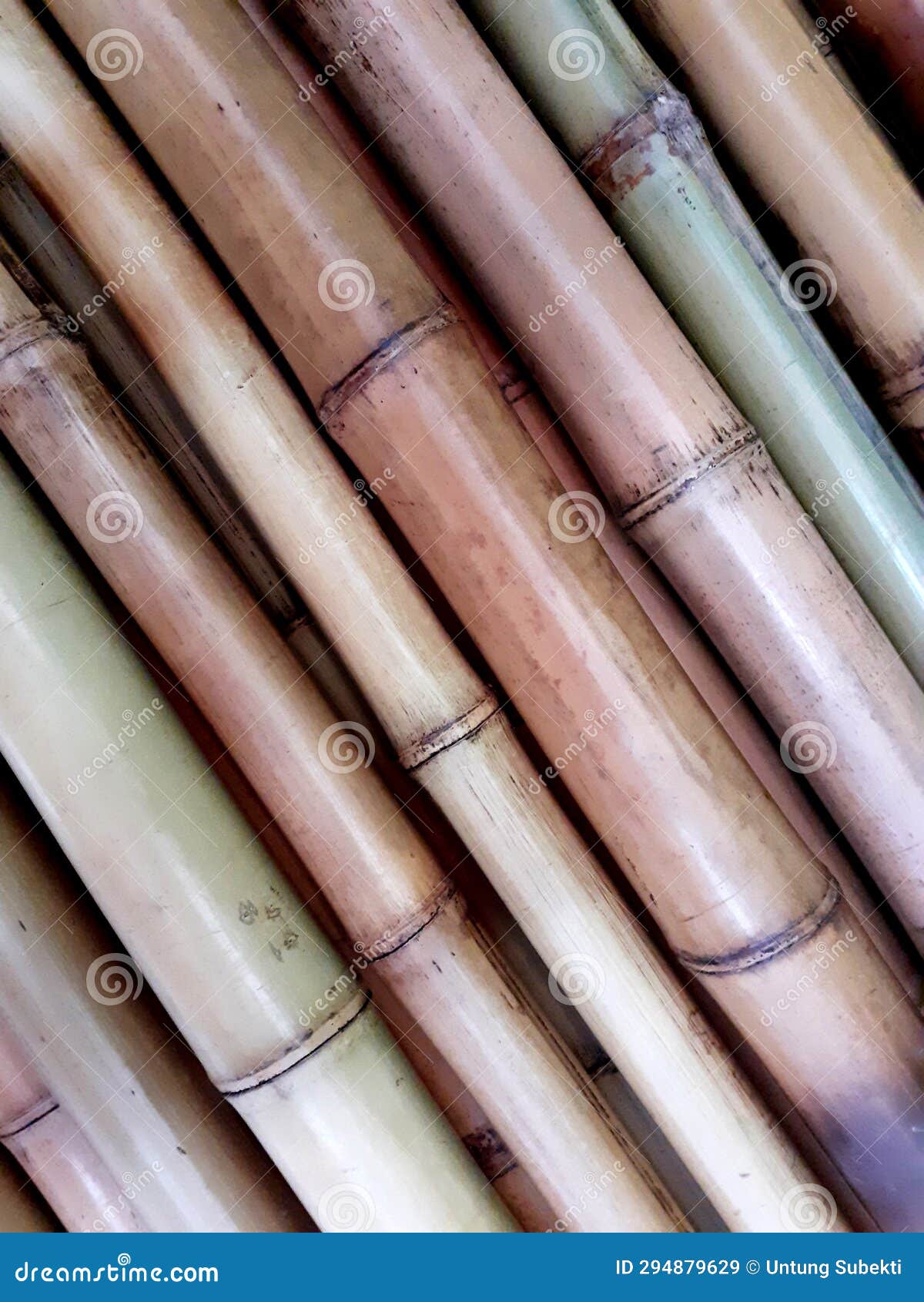 Stack of Bamboo sticks stock image. Image of scouting - 294879629