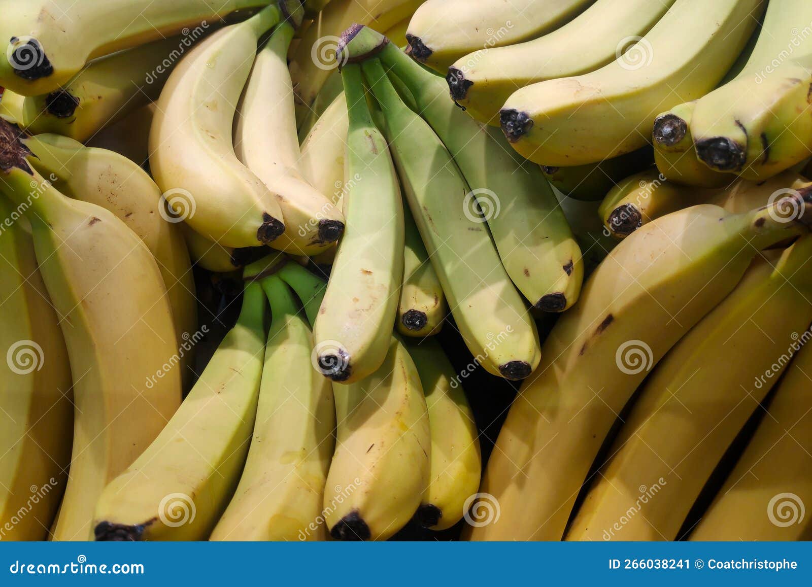 Stack of Bananas on a Market Stall Stock Image - Image of market, vegan ...