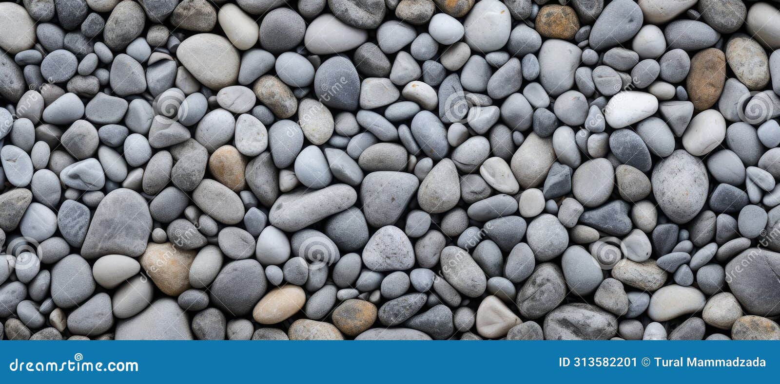 A Stack of Bedrock Rocks Forms a Unique Pattern on the Beach Stock ...