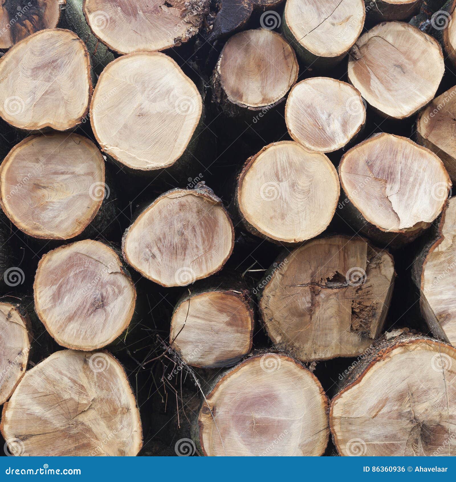 Stack of Beech Logs in Closeup Stock Photo - Image of energy ...