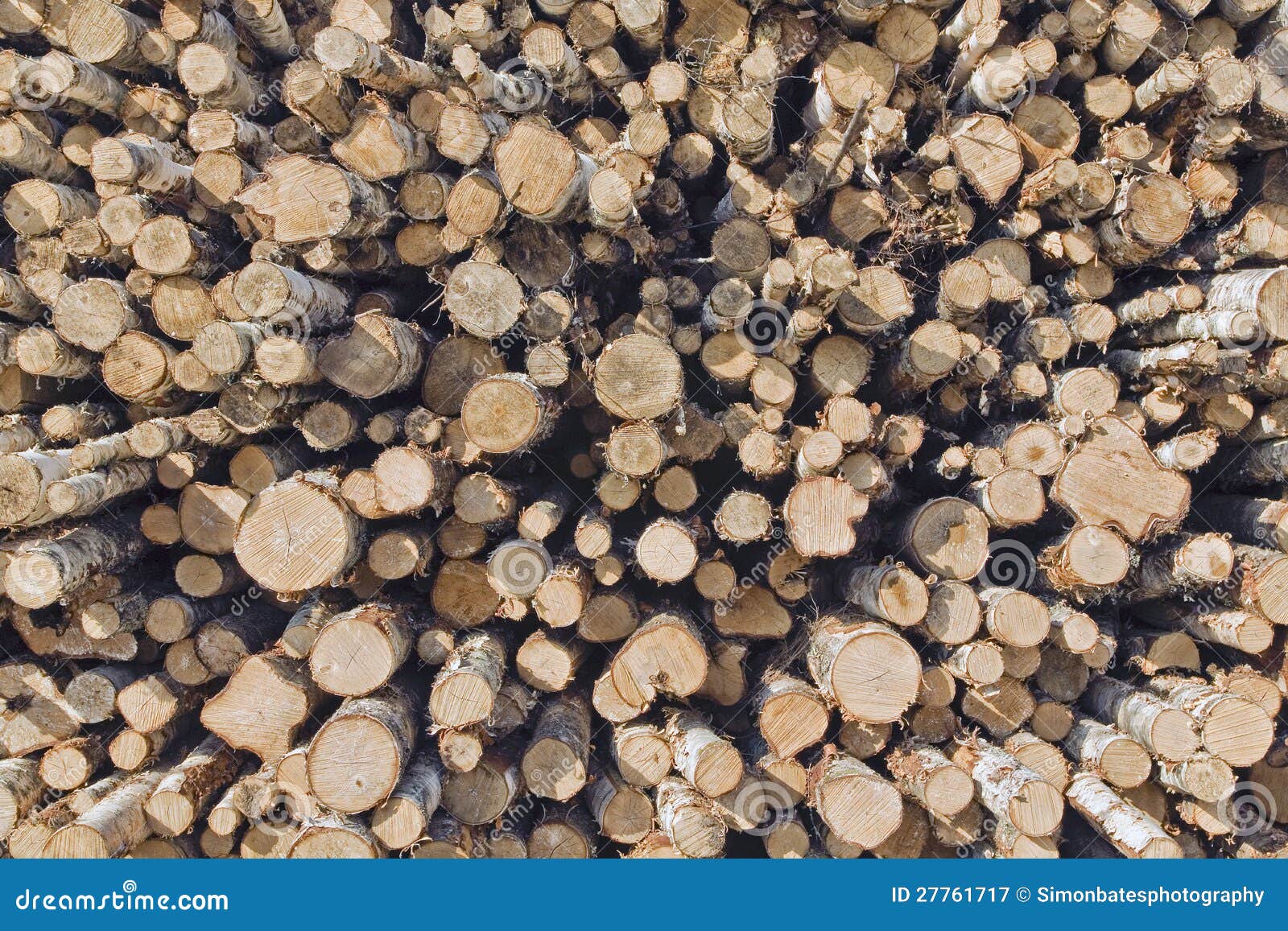 Stack of birch tree logs stock image. Image of tree, business - 27761717